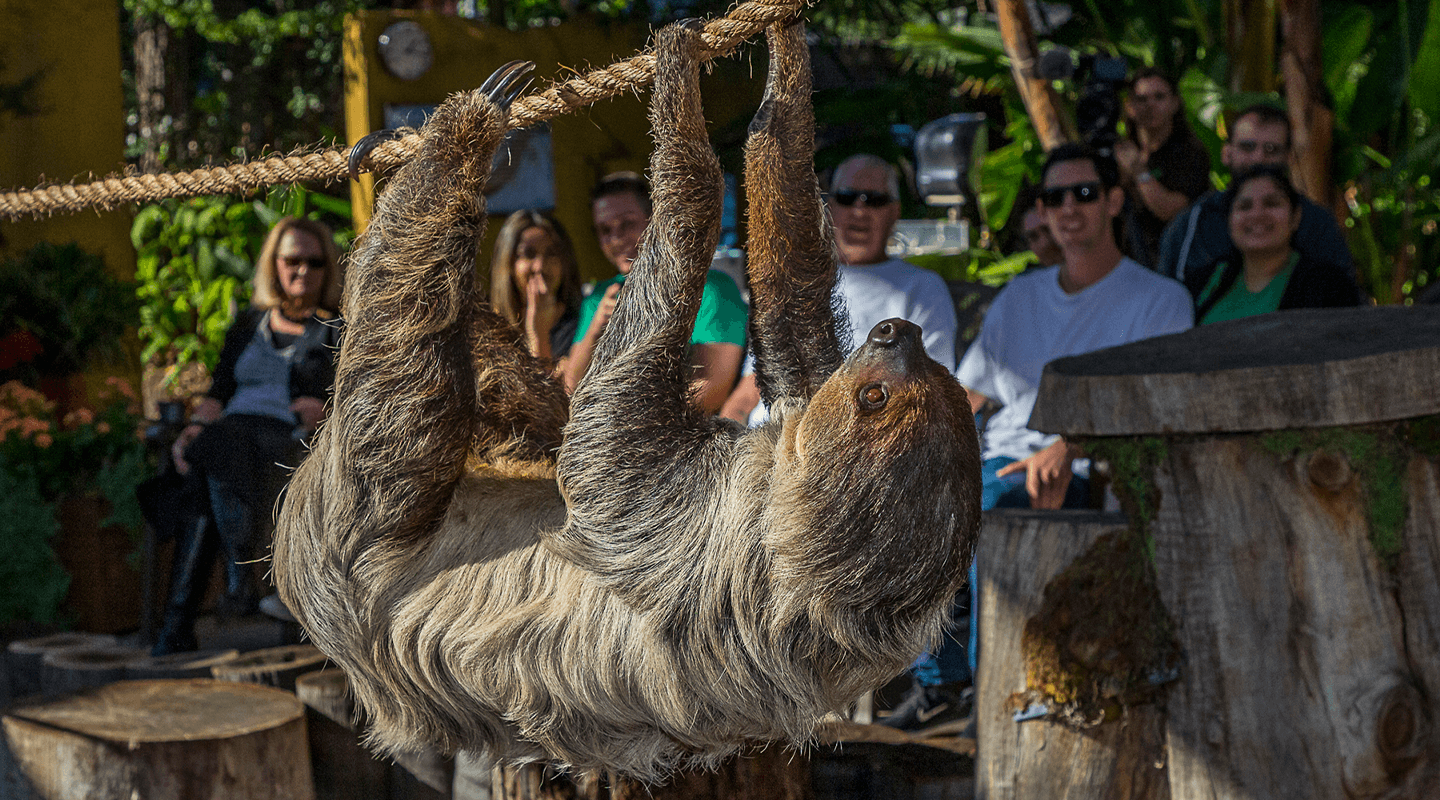 Picnics | Wild Events